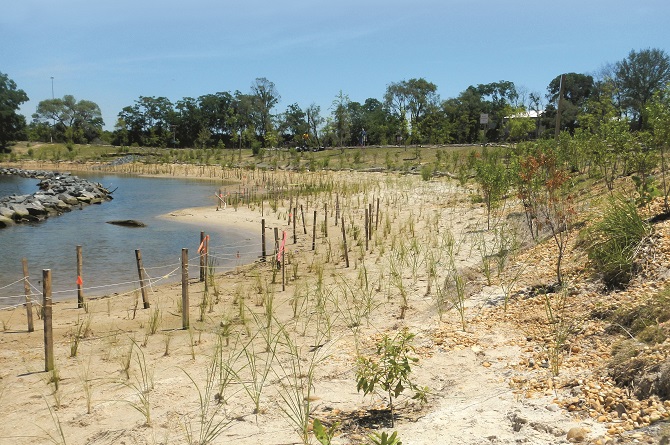 Wetland Services – Maryland Environmental Service