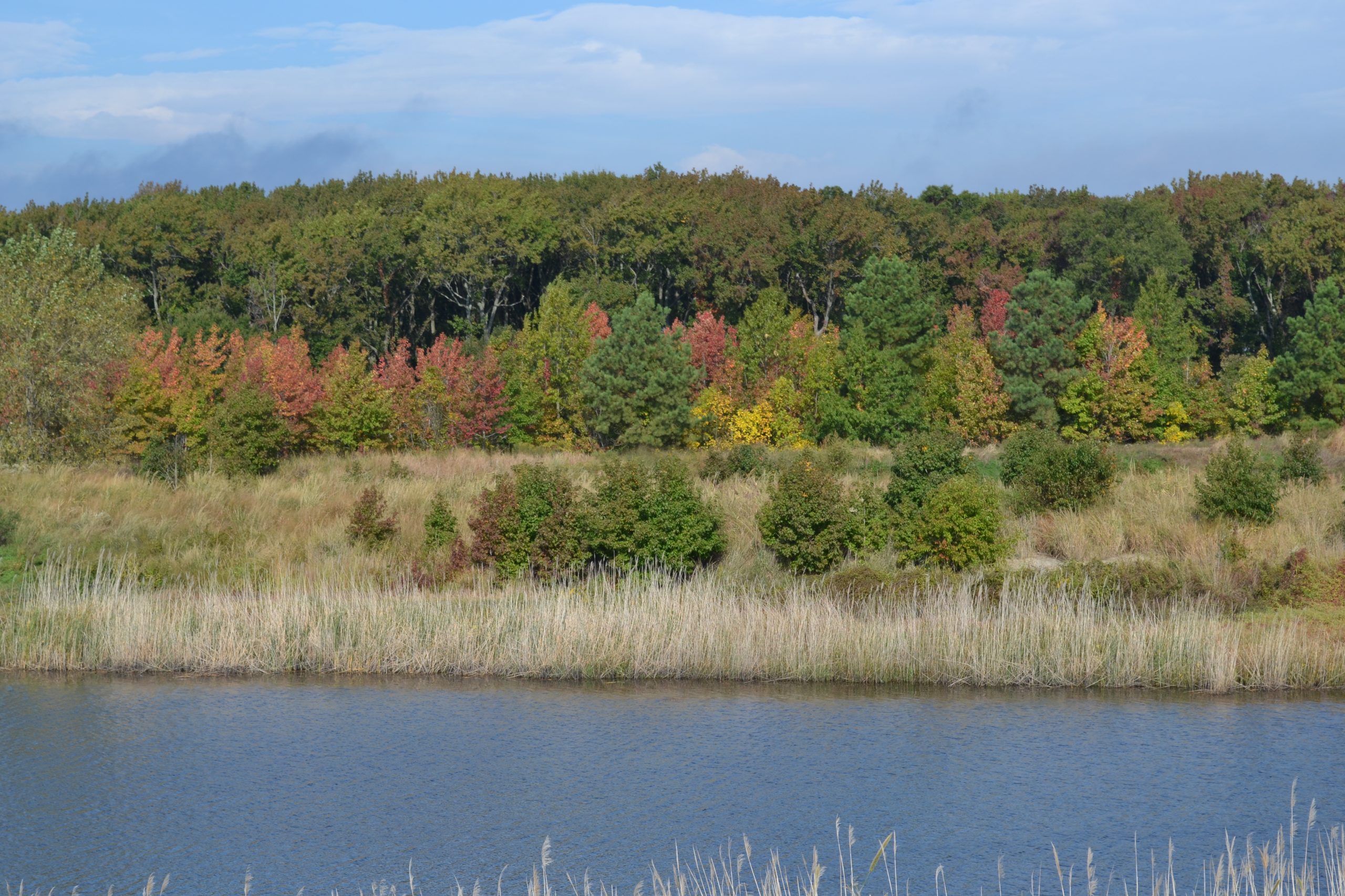 Forest Conservation Services - Maryland Environmental Service