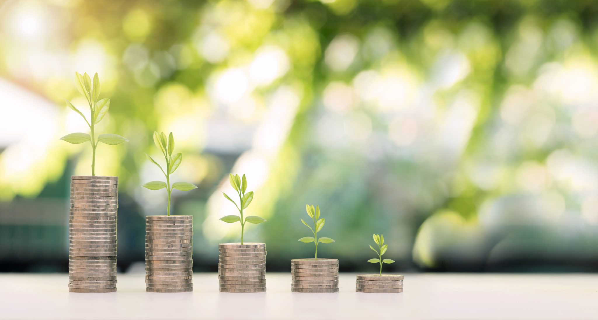 Funding – Maryland Environmental Service